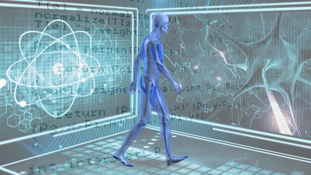 Human anatomy walking Premium Stock Video Footage