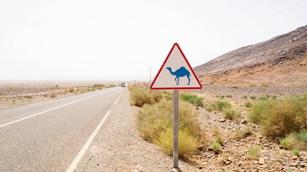 Camel warning sign on the road in desert Premium Stock Video Footage