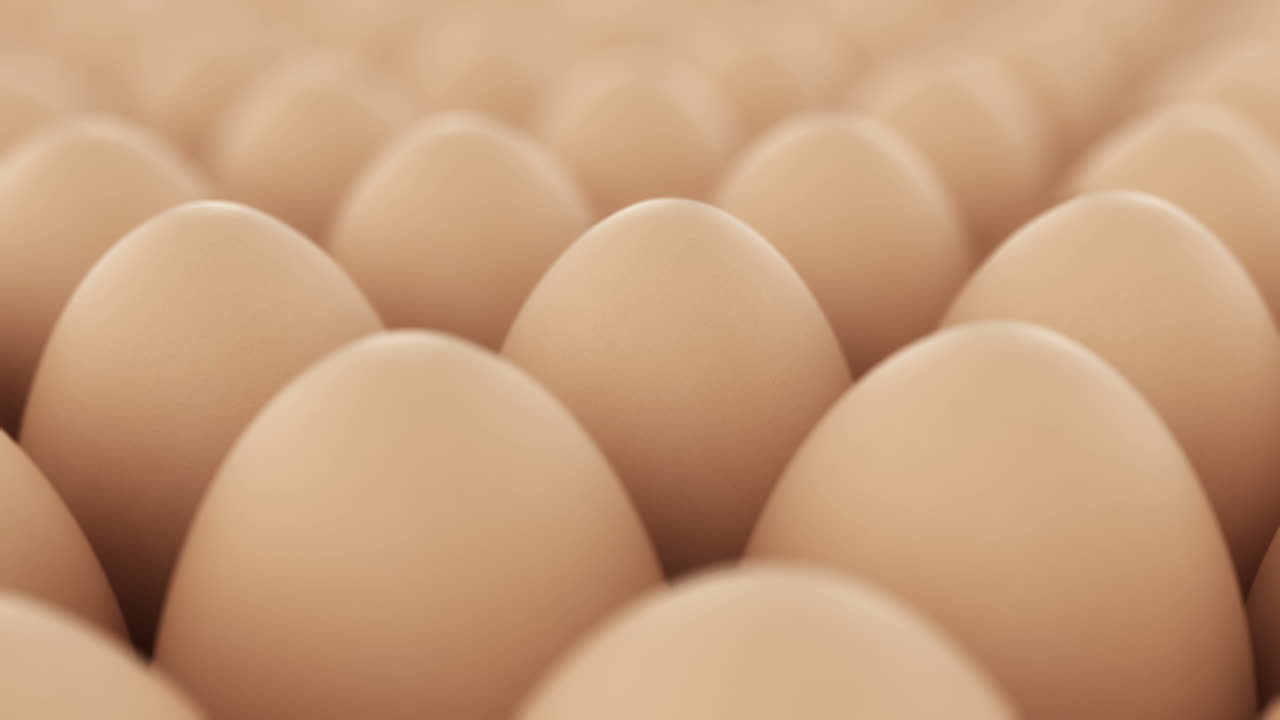 Eggs Seamless Animation. Perfect For Anything Related To Healthy Food ...