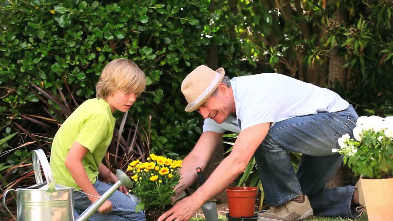 Premium stock video - Father gardening with his son