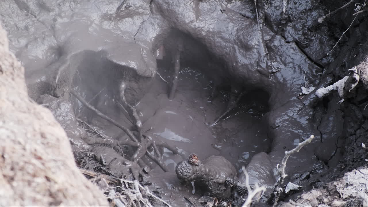 Hot Steaming And Bubbling Mud Pit From Geothermal Activity Free Stock ...