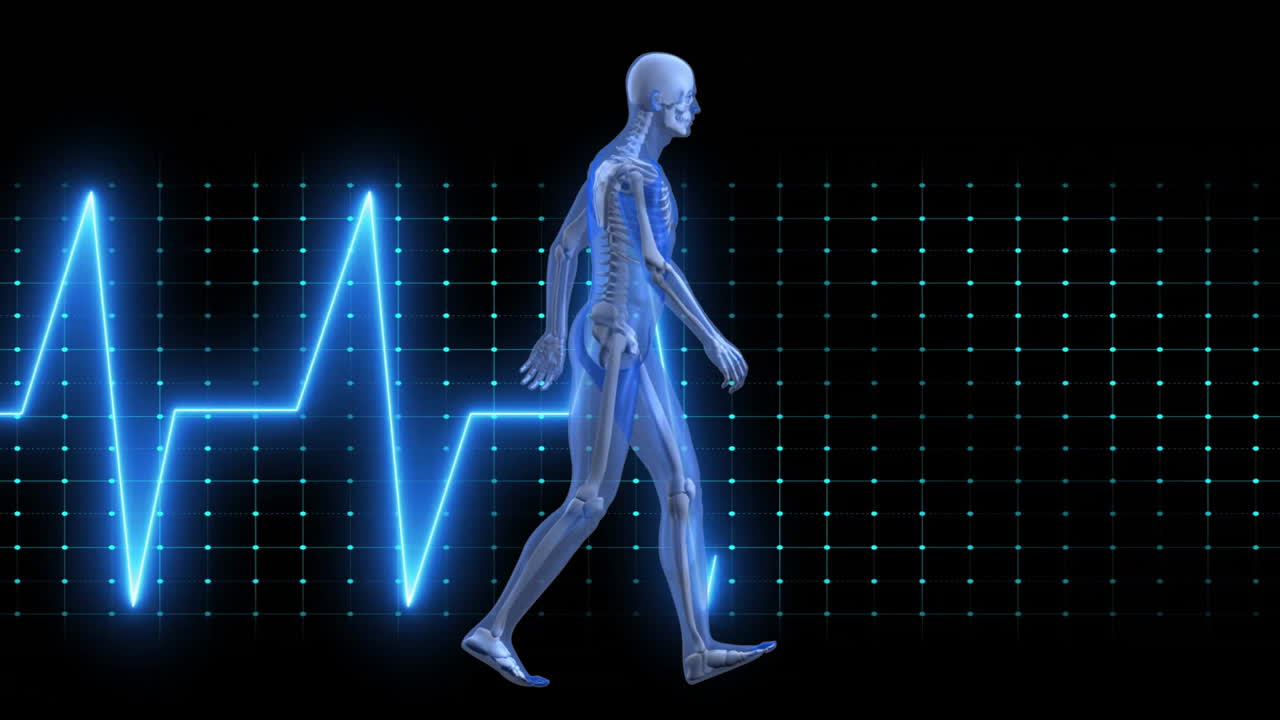 Premium stock video - Walking human skeleton animation over heartbeat ...