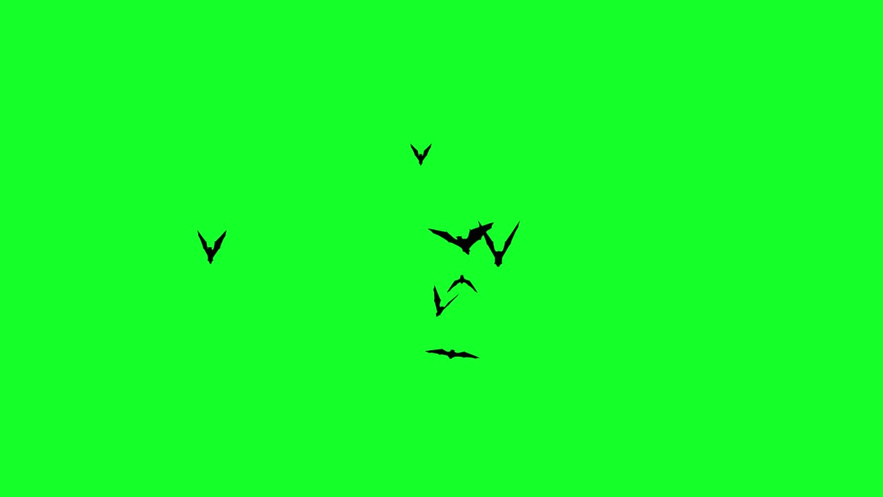 Animated bat moving closer to green screen, video overlay Premium Stock ...