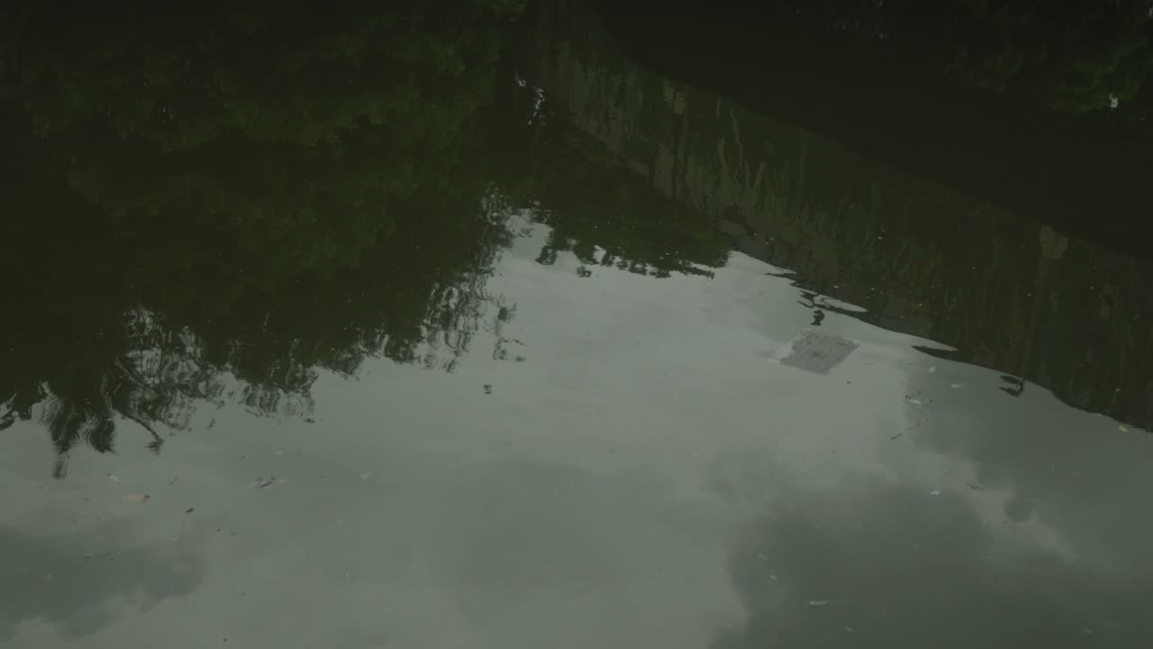 A Scene Captures A Serene Lake With Its Still Water Tarnished By The ...