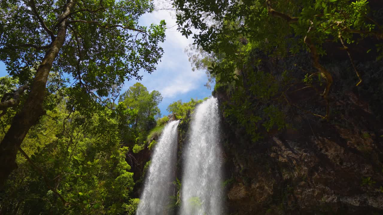 Vidéo de stock Premium - Parc national de springbrook, circuit d ...