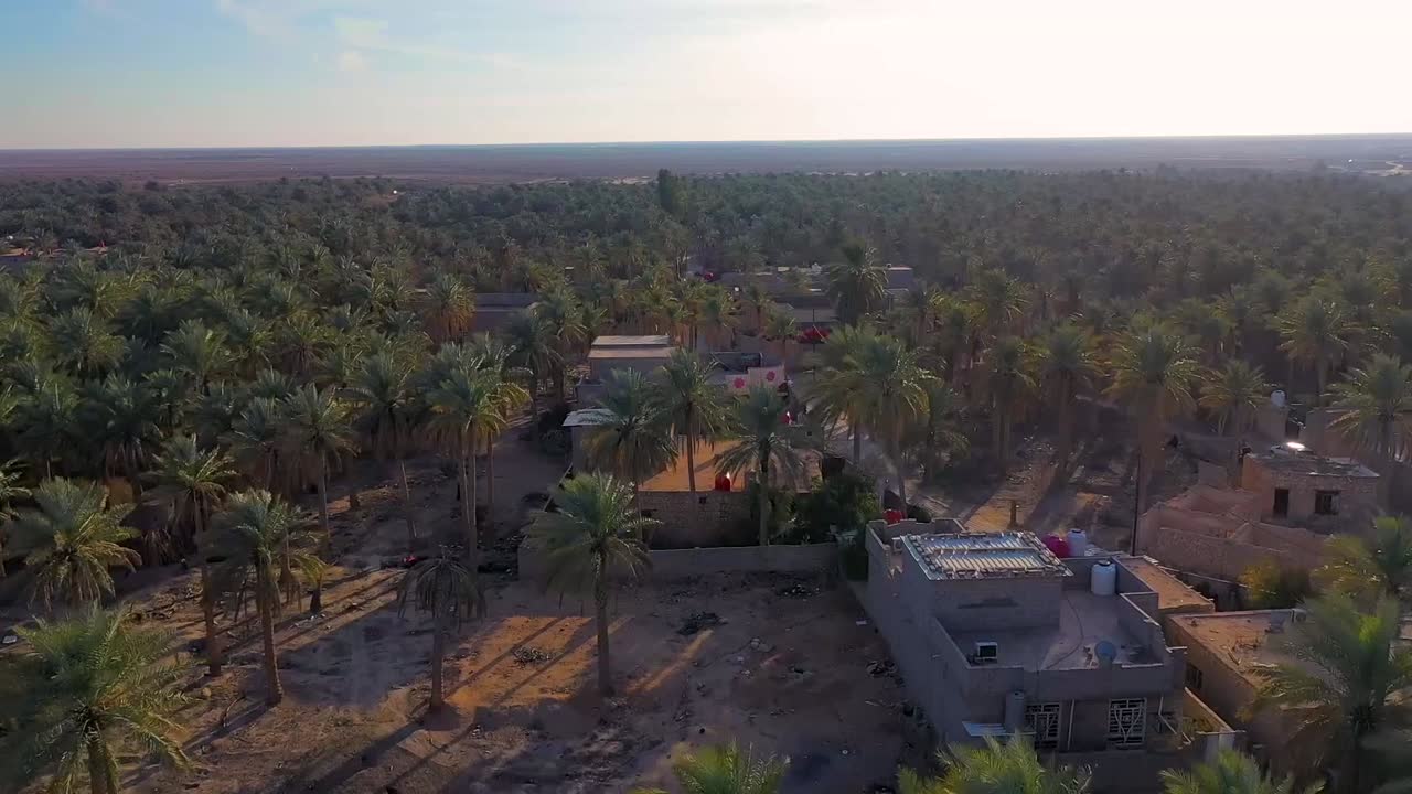 Premium stock video - An aerial view of palm plantations in a village ...