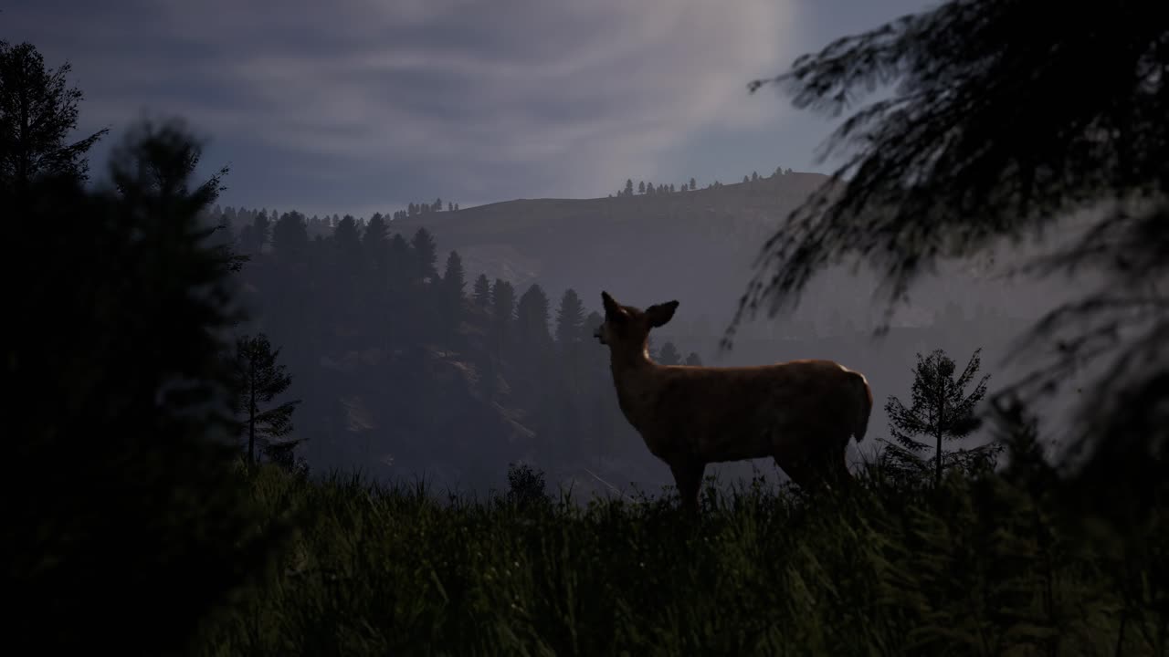 A Deer Eating In A Dark Pine Forest With Mist And Mountain Range At The ...