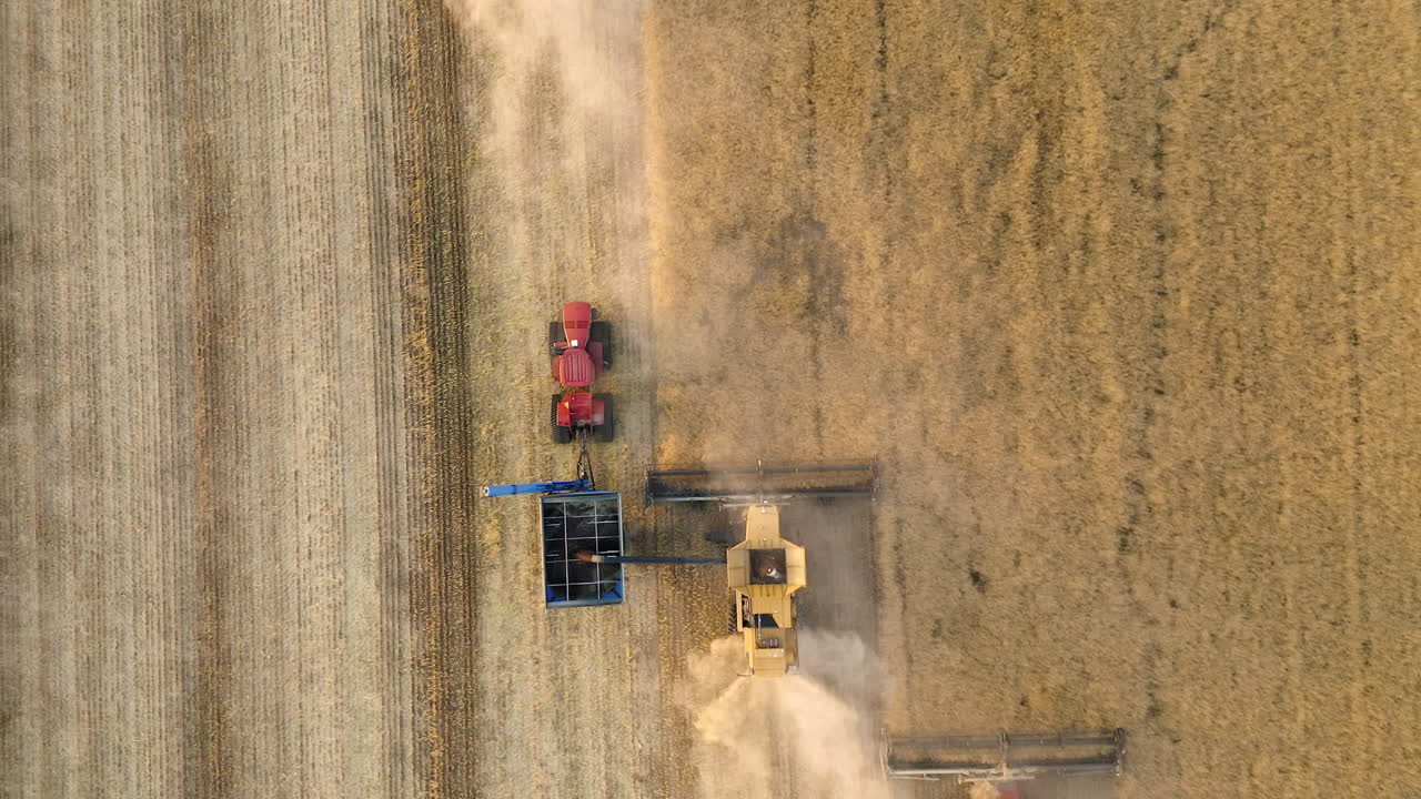 Premium stock video - Four harvesters with grain cart chaser bin ...