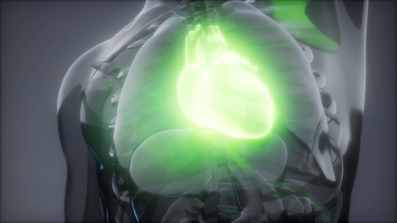 Vídeo Premium - Examen de radiología del corazón humano