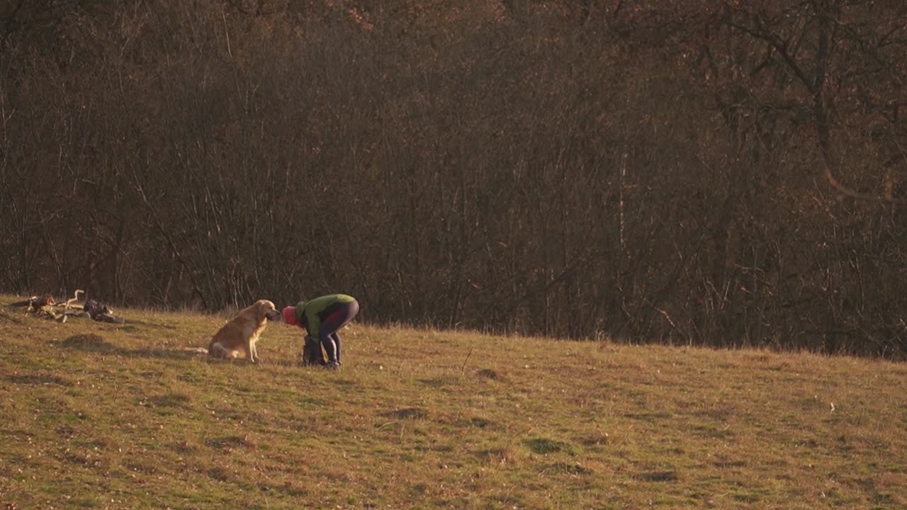 Woman Digging In Backpack While Golden Retriever Pet Waits Patiently ...