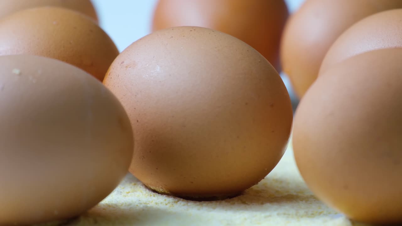 Premium stock video - Tilt up, close up of chicken eggs on a bench top ...
