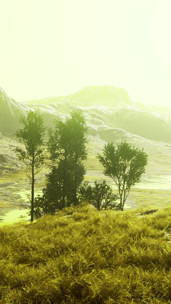 Landscape featuring mountains and trees in bright golden light ...