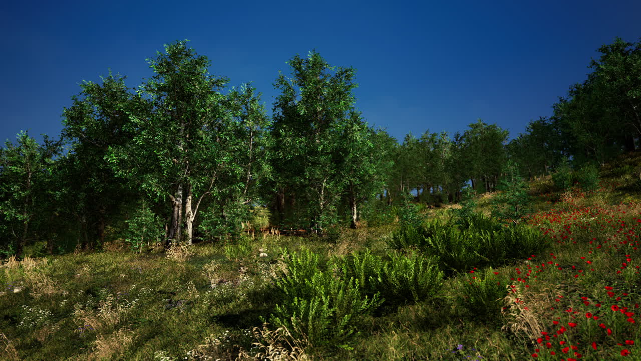 Premium stock video - Scenic panoramic view of idyllic rolling hills ...