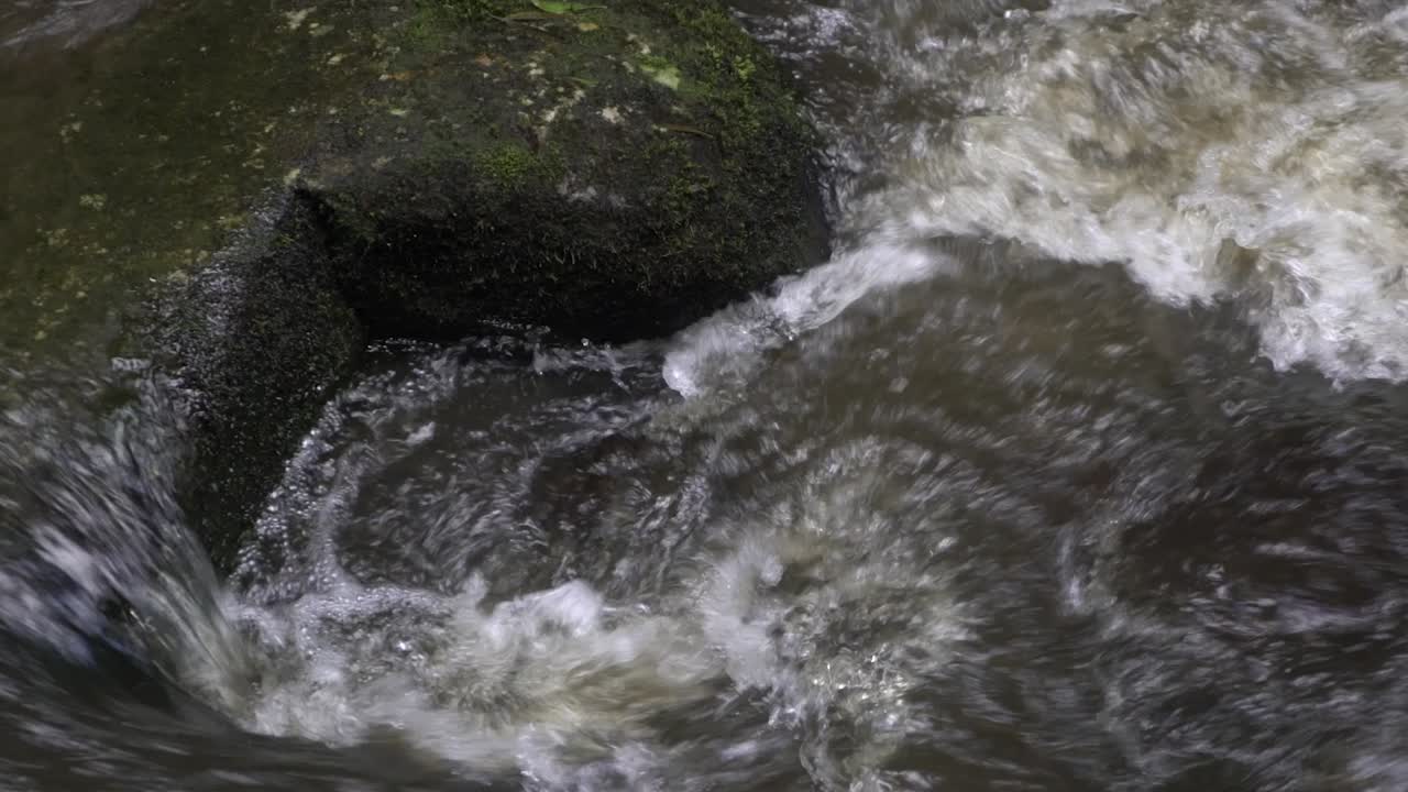 Still Footage Of Murky River Stream Flowing Around Rock Free Stock ...