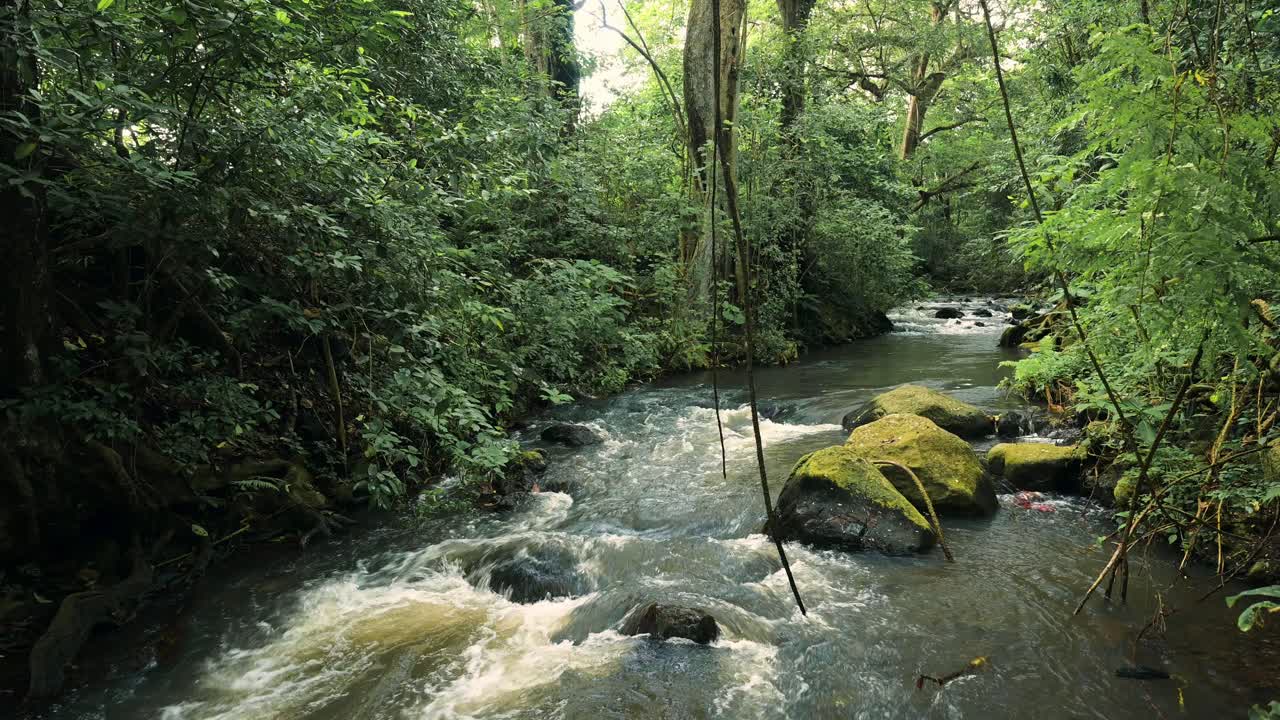 Premium stock video - Flowing river in tropical forest scenery in ...