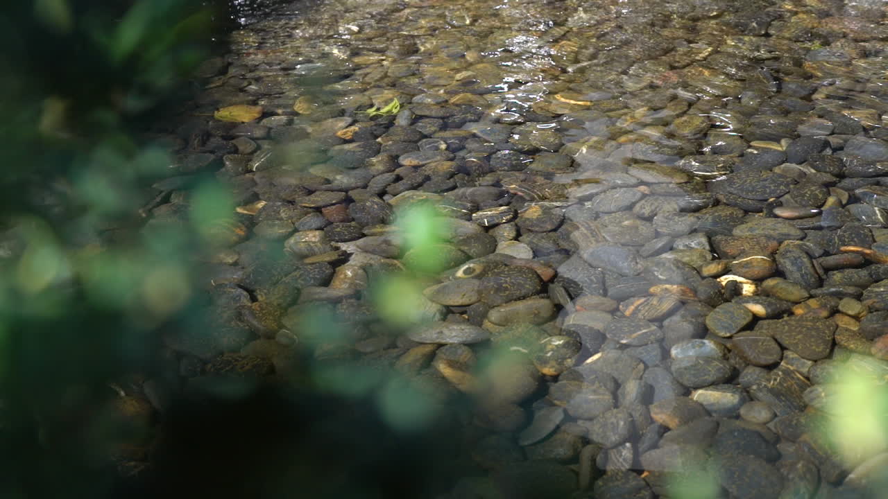 Water Movement Of Shallow Pebble Pool In Chinese Garden Free Stock ...