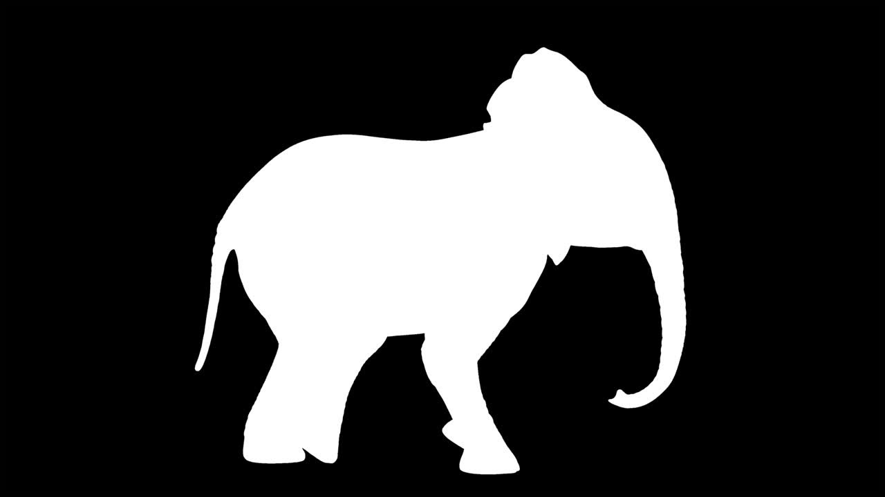 cg animation. elephant baby walk.loop animation. | freepik