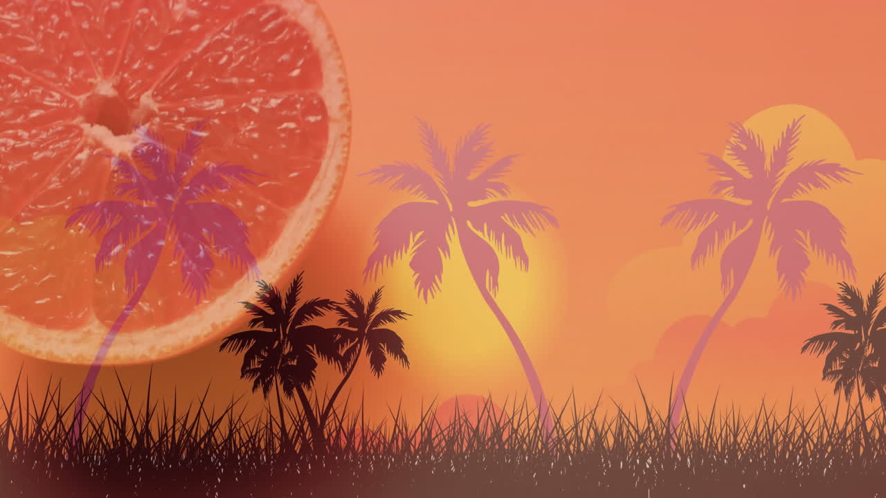 Composition Of Halved Grapefruit Over Palm Trees And Sunset Landscape ...