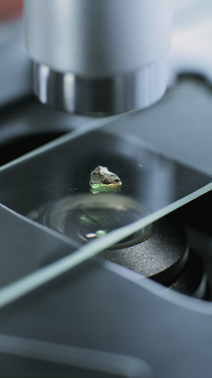 microscopic sample examination | freepik