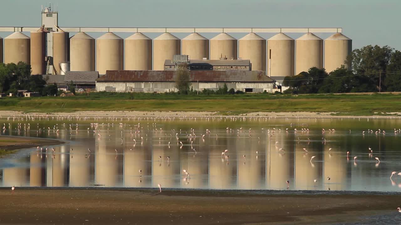 Grain Silos Supporting Local Farmers Free Stock Video Footage Download ...