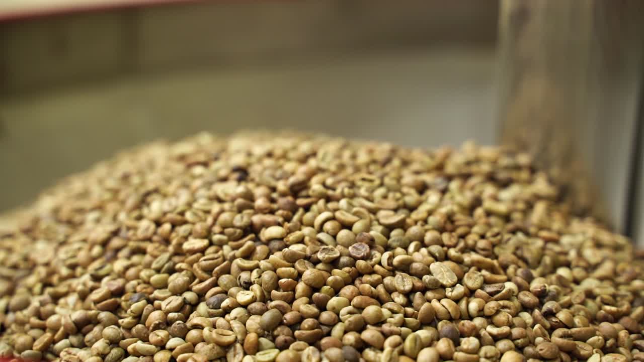 Premium stock video - Fresh raw coffee beans - rack focus
