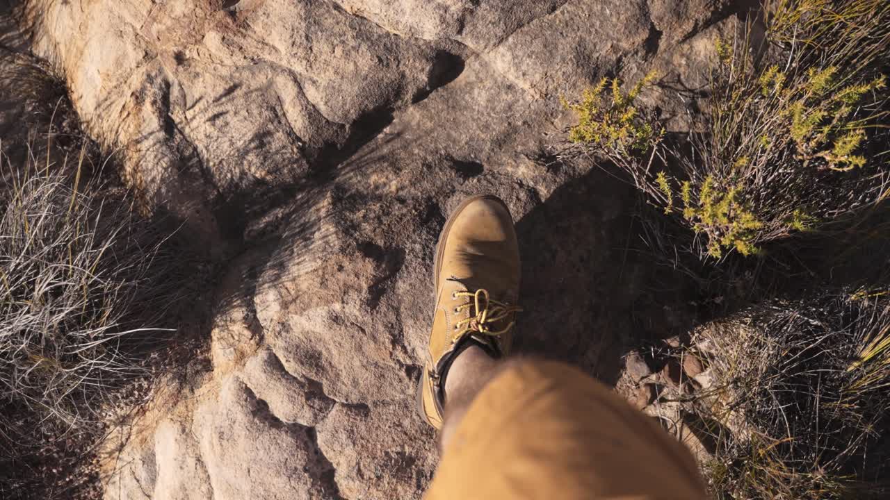 Point Of View Of Man Hiking, Walking Over Grass Surface And Stepping To ...