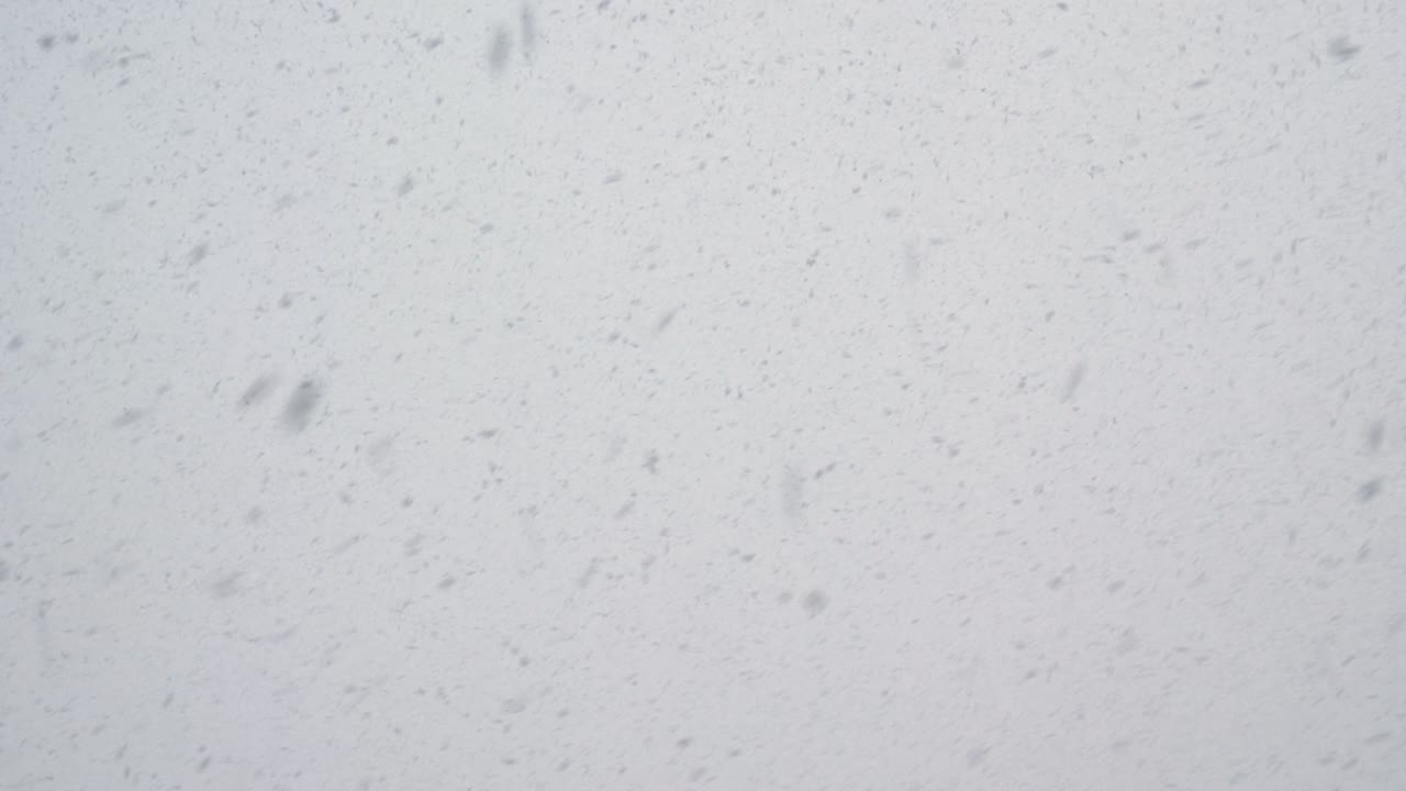 Snow falling Free Stock Video Footage