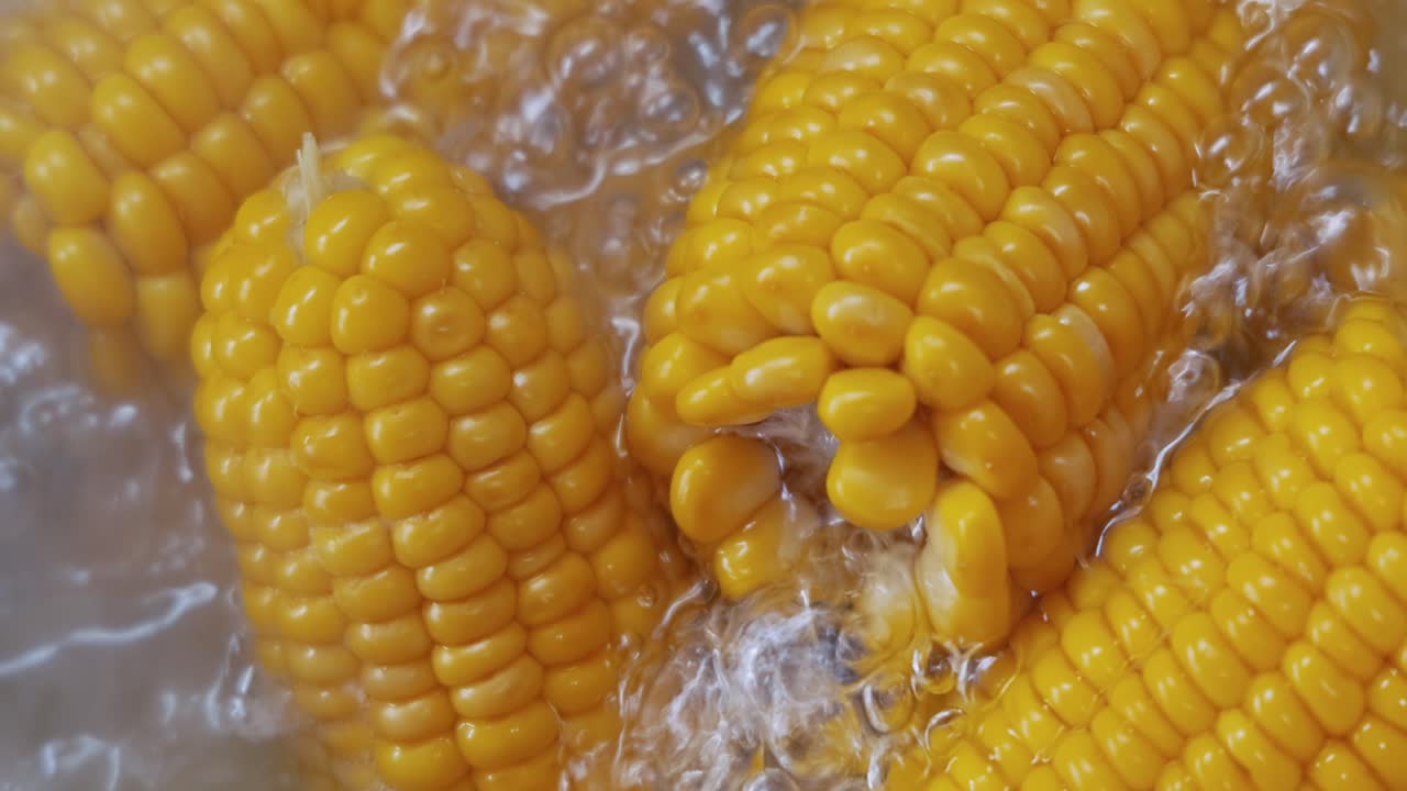 Premium stock video - Corn cobs in boiling hot water. maize has become ...