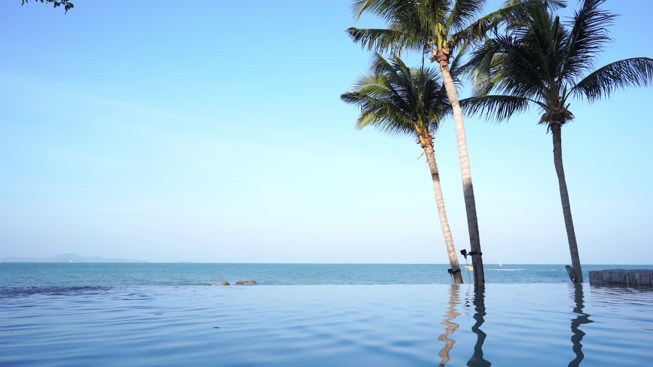 The Edge Of An Infinity Pool Gives The Illusion Of Palm Trees Growing ...