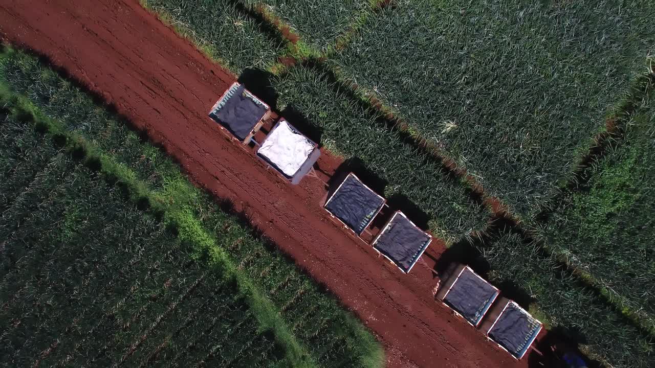 Aerial Top-down Sideways Over Tractor And Plantation In Costa Rica ...