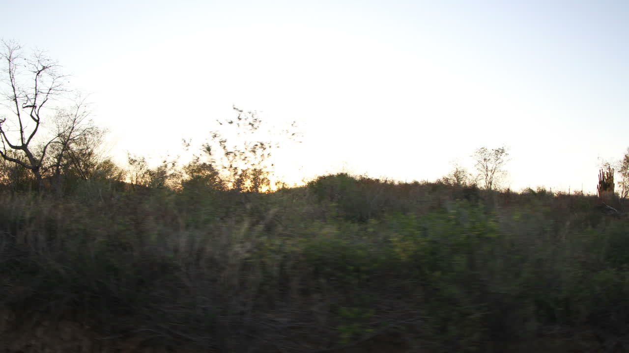 El chepe 61 Premium Stock Video Footage
