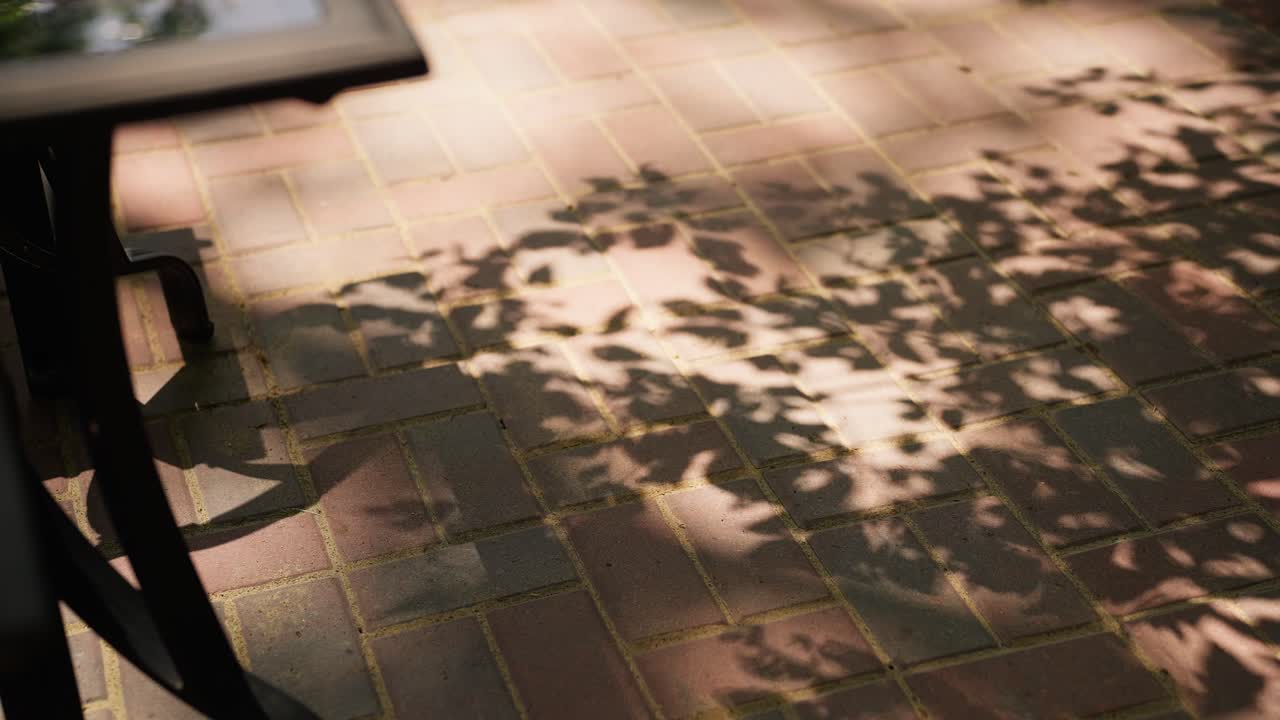 Premium stock video - Looking down at the shadow of leaves blowing in ...