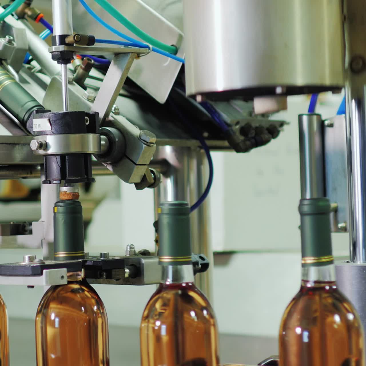 Wine production and bottling at a winery | Premium Stock Video Footage