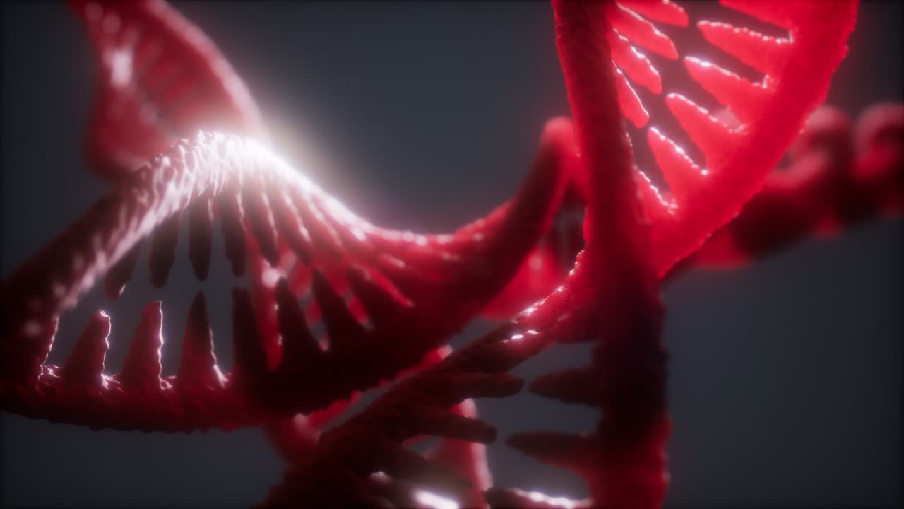 Loop Double Helical Structure Of Dna Strand Close-up Animation Free ...