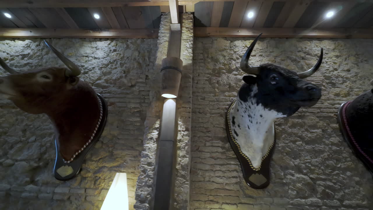 Bulls head natural stone wall decoration wooden beam ceiling ...