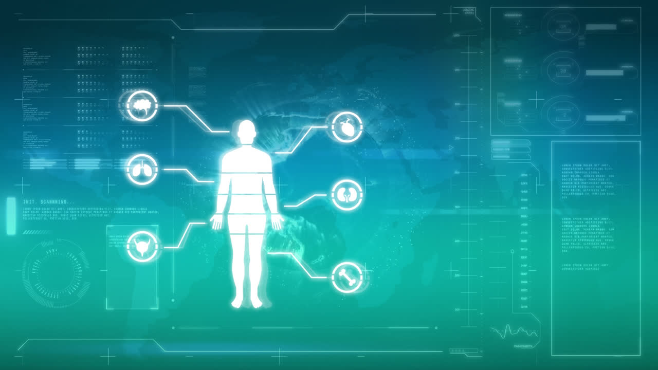 Premium stock video - Illustration of a human body with organ labels