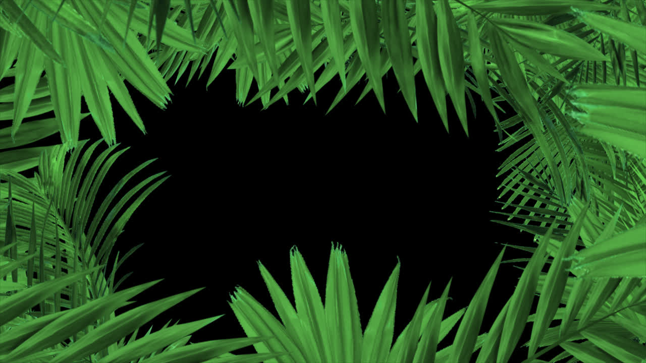 Premium stock video - Tropical summer plants leaves, flowers border ...