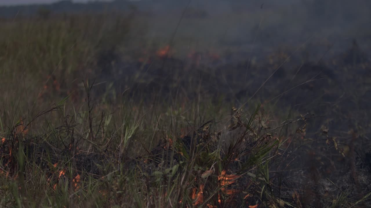 Fires Destroy The Amazon Rainforest As Deforestation Causes Drought ...