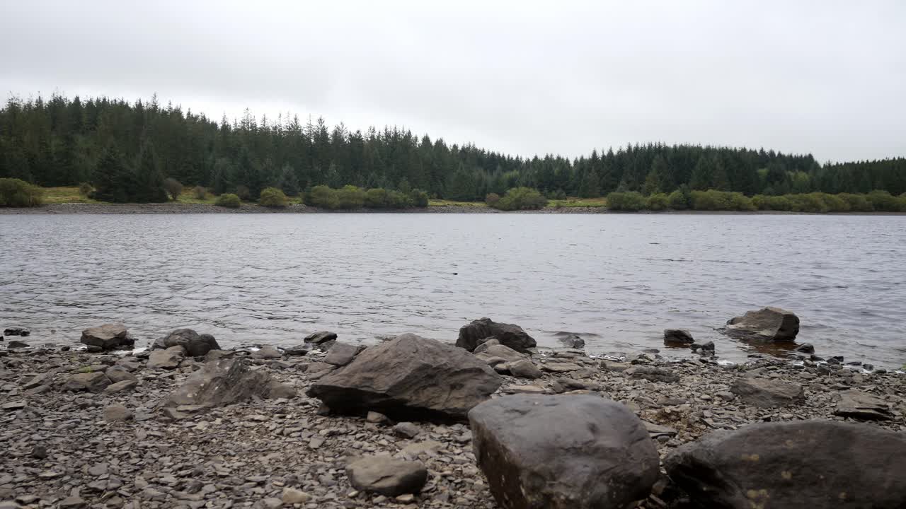 Forest woodland lake shore pebble stone scenic countryside landscape ...