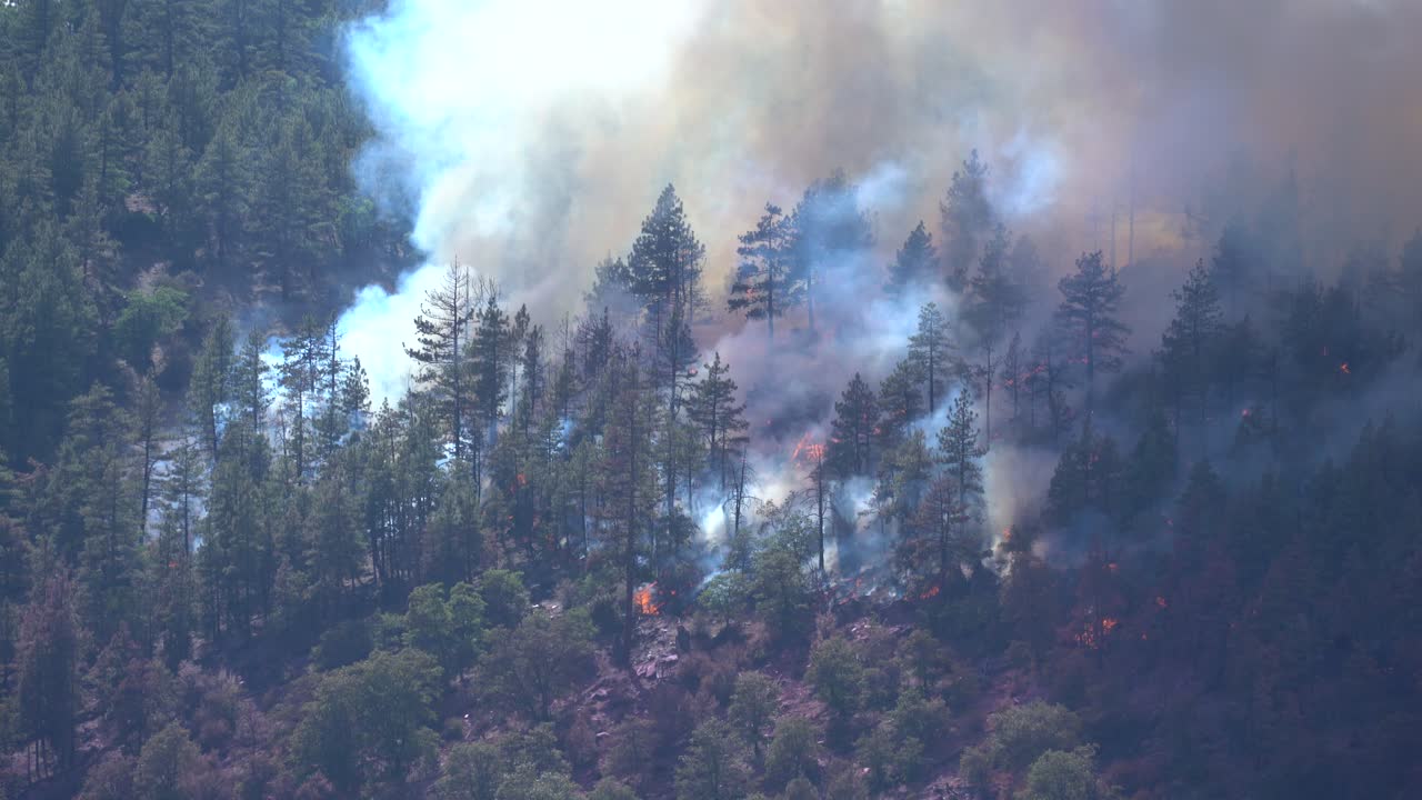 Premium stock video - Smoke showing on brush fire