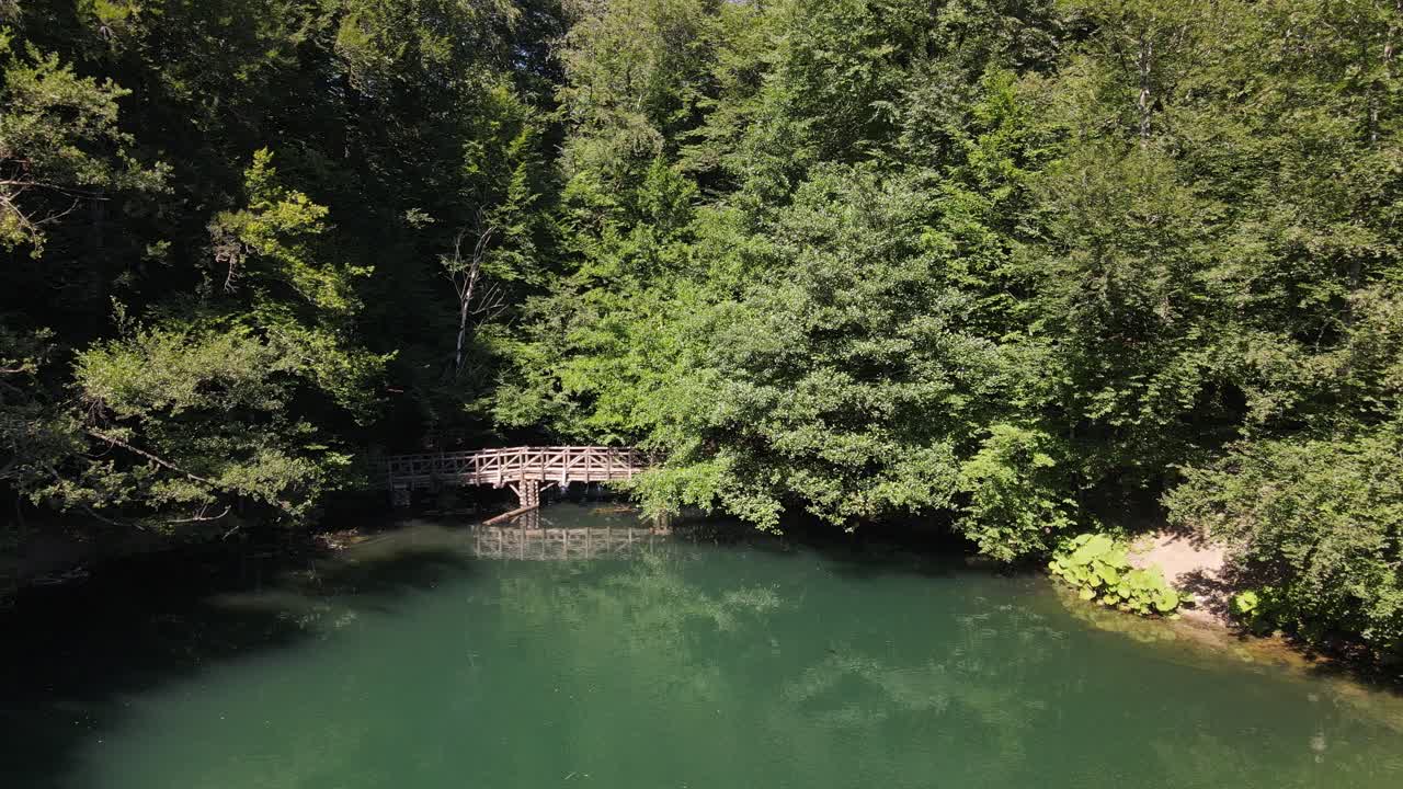 Premium stock video - Lake in a wooded park aerial shot