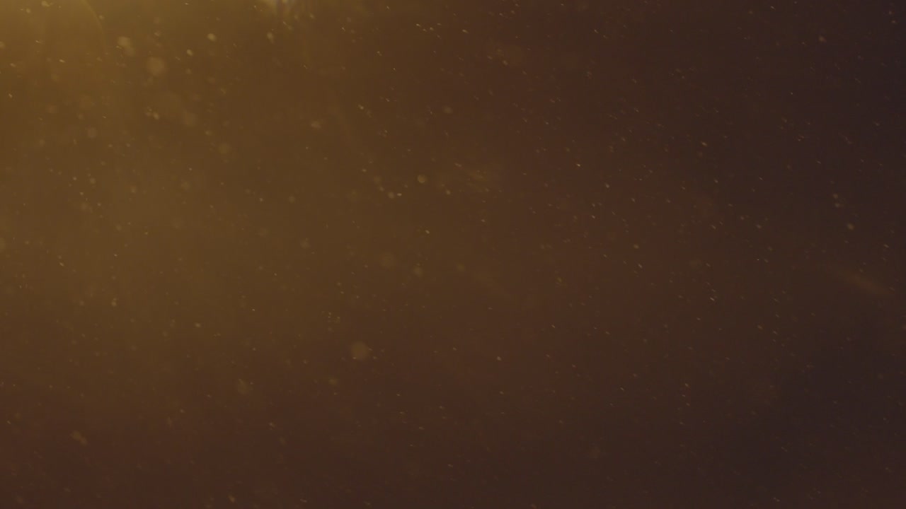 Static View Of Camera Focusing To The Sky Of Snow Falling In Slow ...