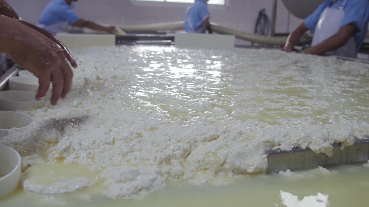 Workers Knead Frozen Milk In The Cheese Production Process At A Cheese ...