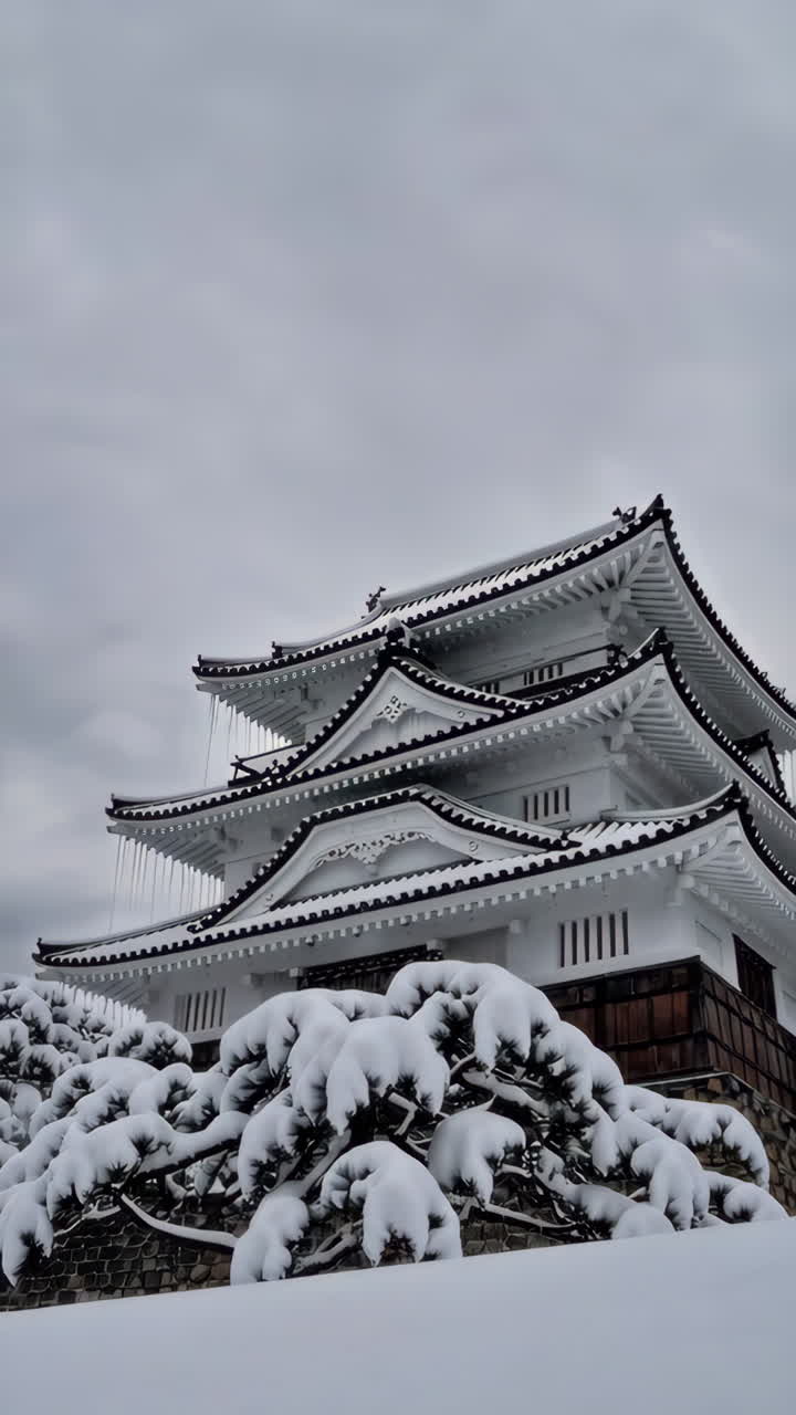 Snowy Japanese Castle | Premium Stock Video Footage