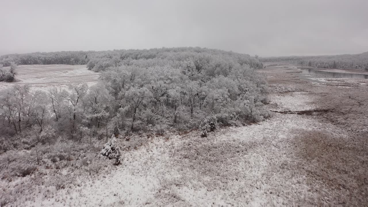 4K Winter Treeline From Drone Free Stock Video Footage Download Clips