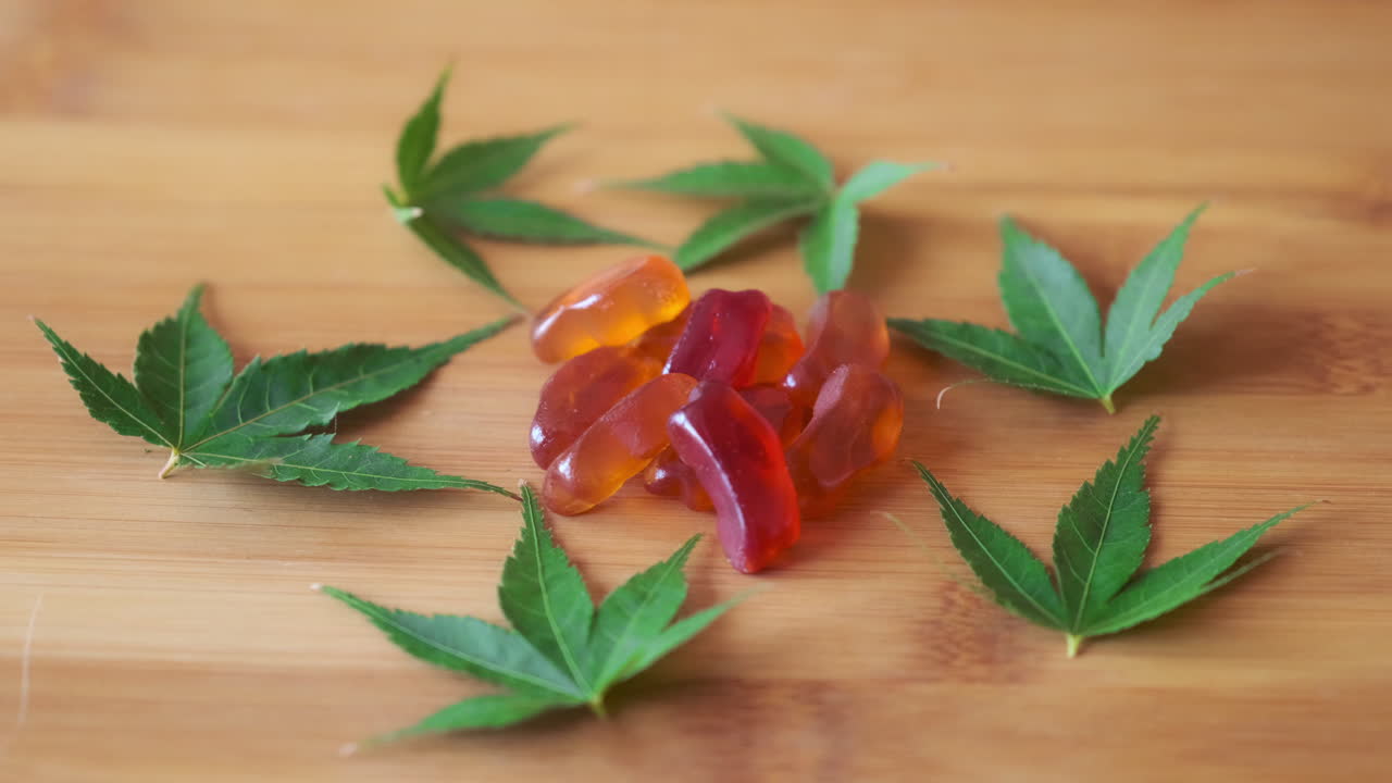 CBD Gummies Falling onto Marijuana Leaves in Real Time | Premium Stock ...
