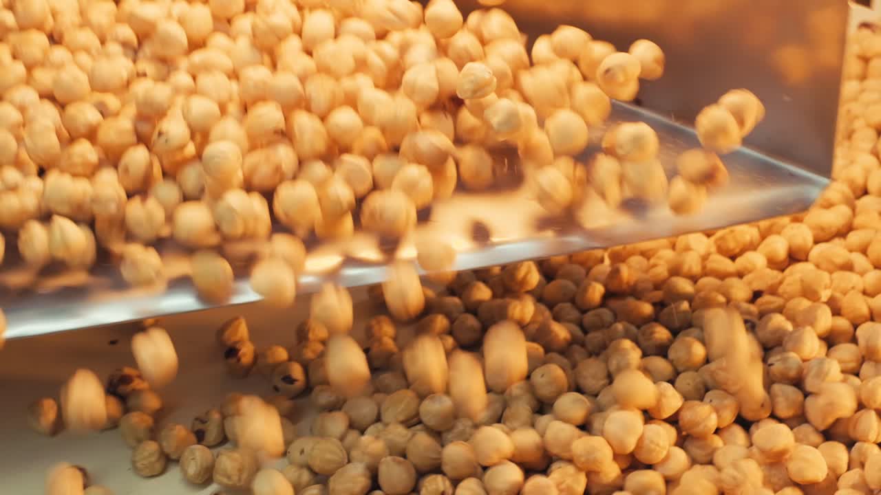 Premium stock video - The hazelnuts are sorted at the hazelnut ...