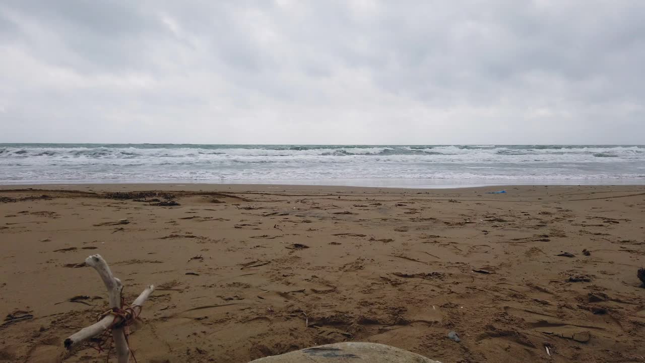 Dramatic Slowly Sinking Down Footage Of A Dead Turtle On Beach Free ...