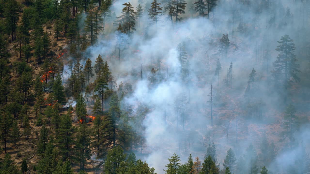 Dramatic Landscape With Flames, Burning Trees And Rising Smoke ...