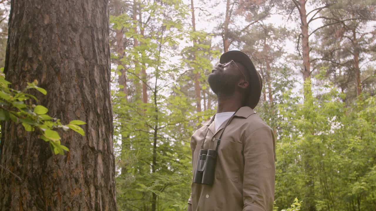 Free stock video - African american forest warden in hat and sunglasses ...